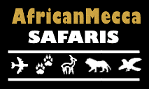 Where To Stay In Zanzibar In Tanzania - AfricanMecca Safaris