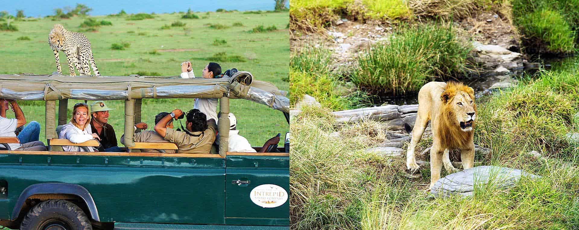 Photos, Images & Pictures For Mara Intrepids Camp In Masai Mara, Kenya ...