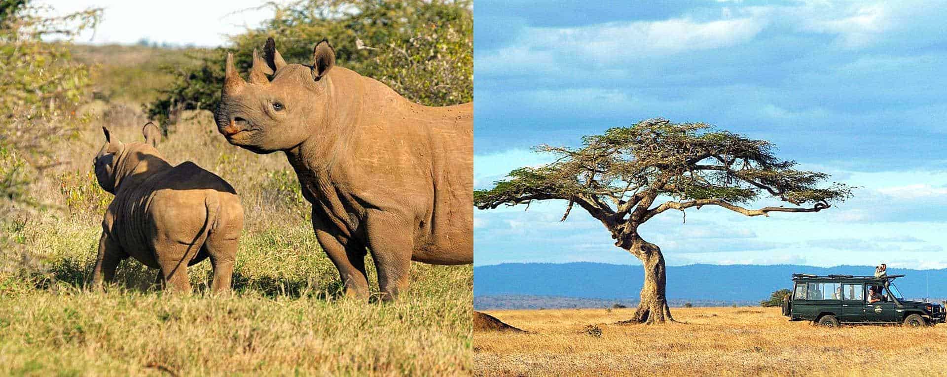 Expert Guide On Mugie Conservancy (North Laikipia) In Northern Kenya ...