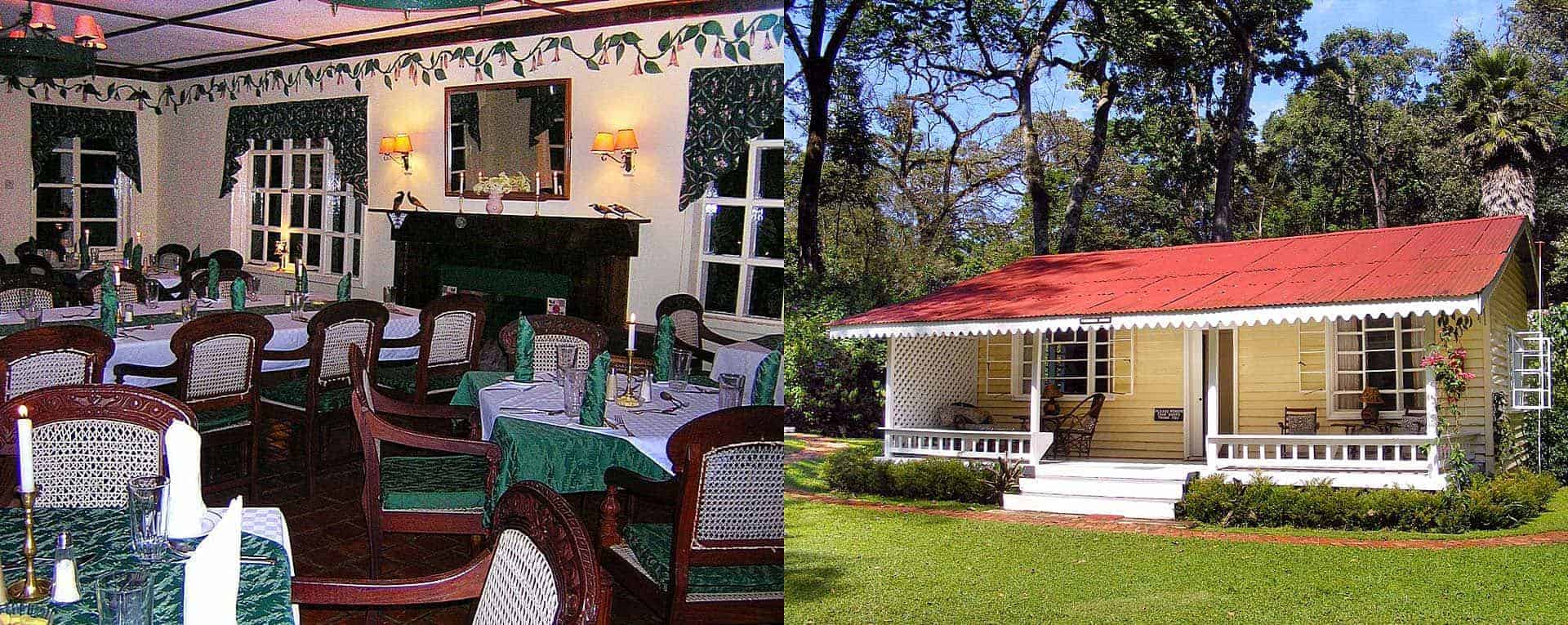 Rondo Retreat, Kakamega Forest - Kenya - AfricanMecca Safaris & Tours